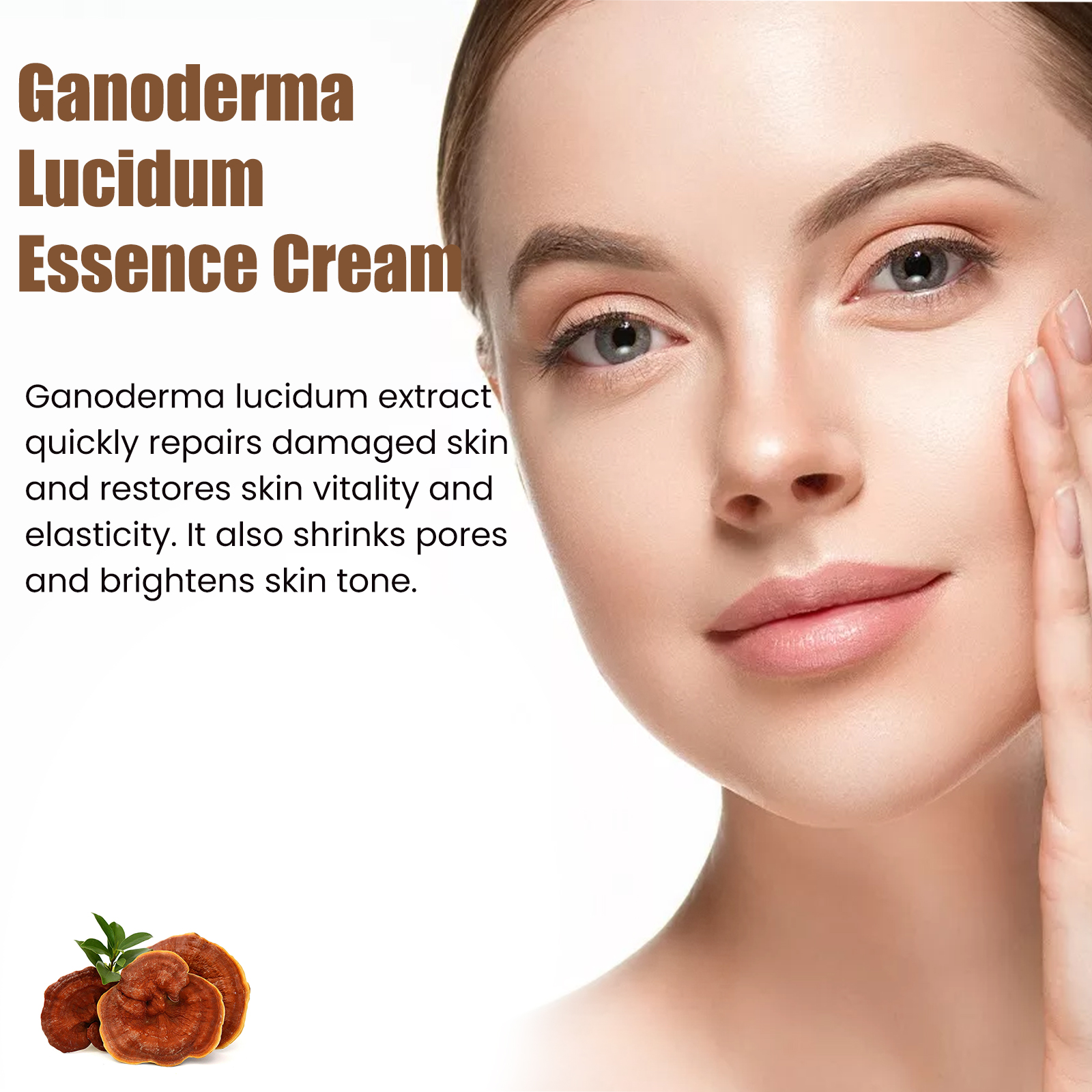 Ganoderma Glossy anti wrinkle and firming cream - Guangzhou Skin Care ...
